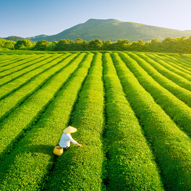 Pit&Pit : Epicerie bio en ligne belge - Pur & sans additifs – Pit&Pit FR